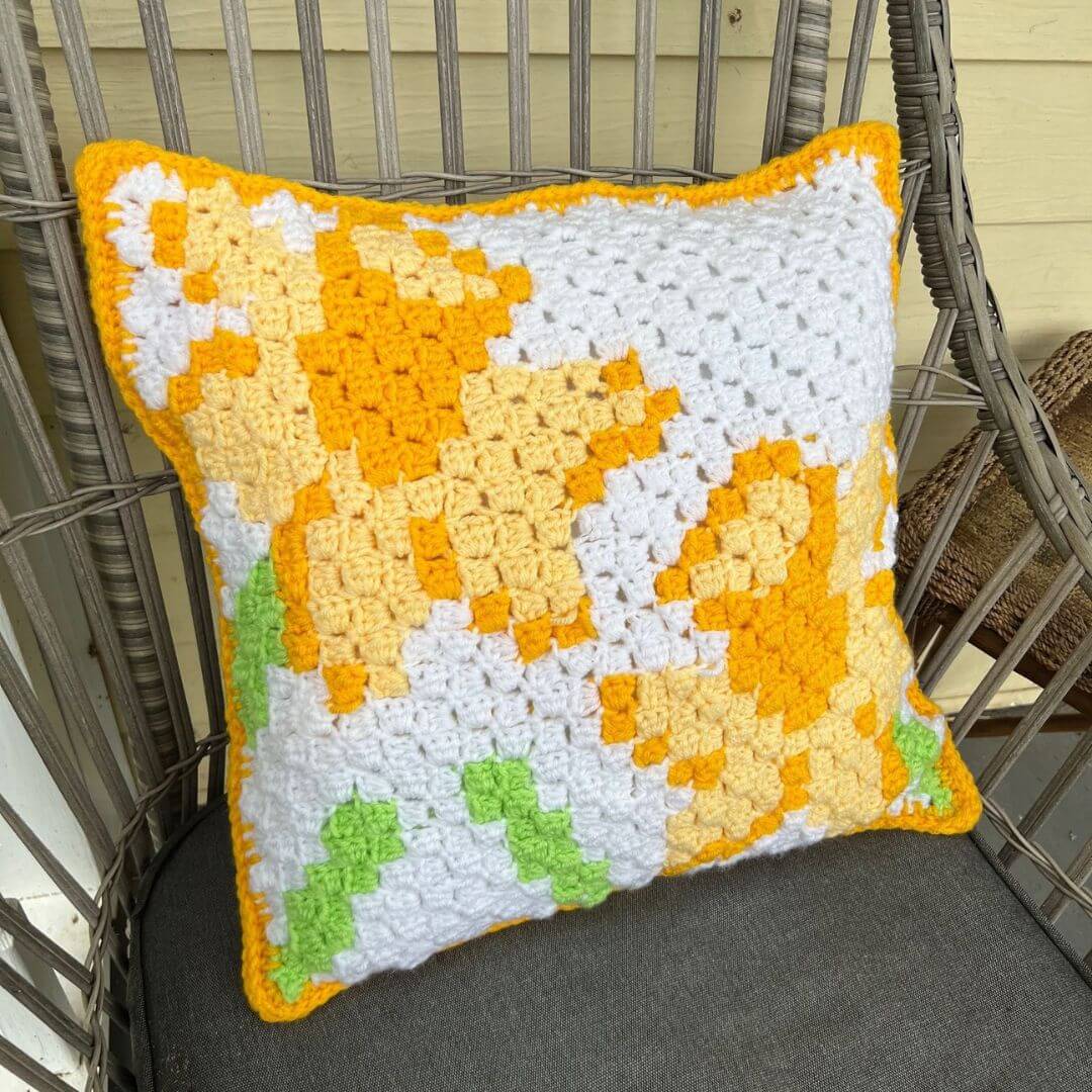 25 Easy Beginner Crochet Pillow Patterns